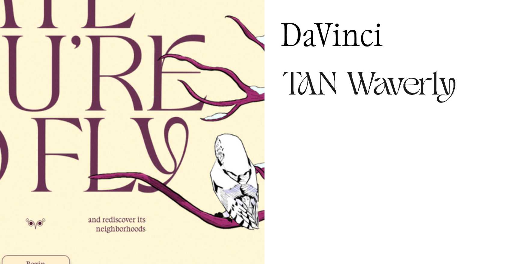 “MTL You’re so fly” website - Fonts In Use