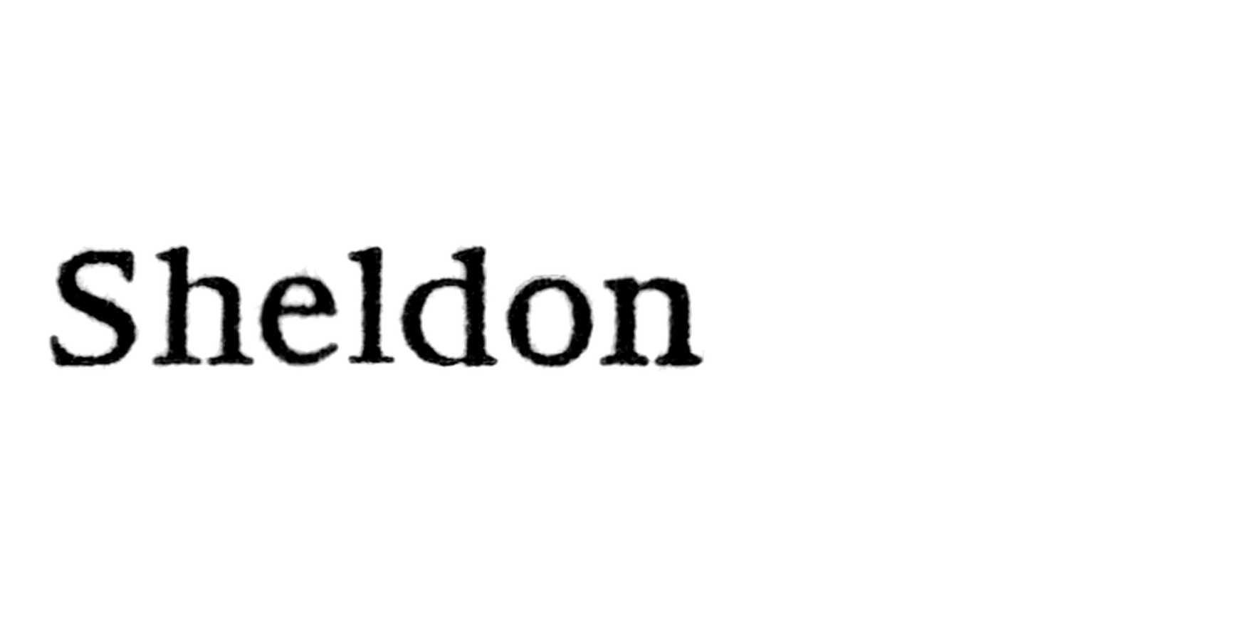 sheldon text adventure
