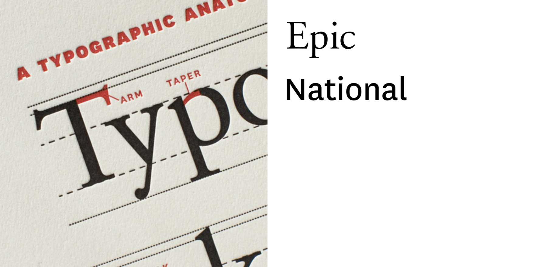 Typographic Anatomy Poster - Fonts In Use