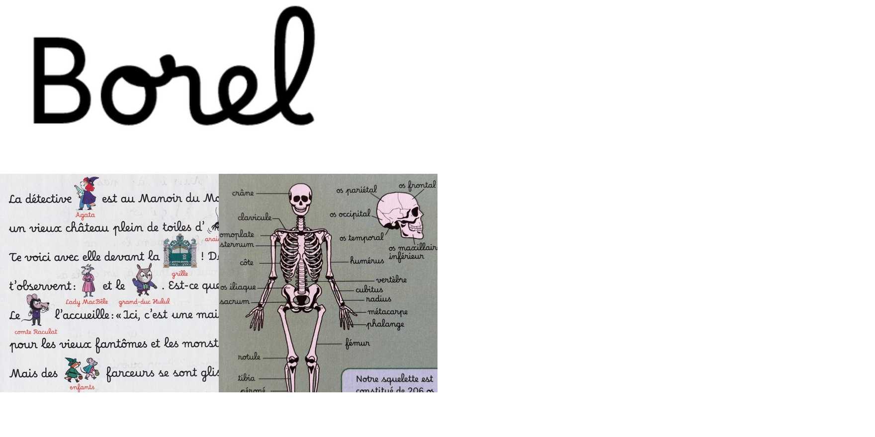 Borel in use - Fonts In Use