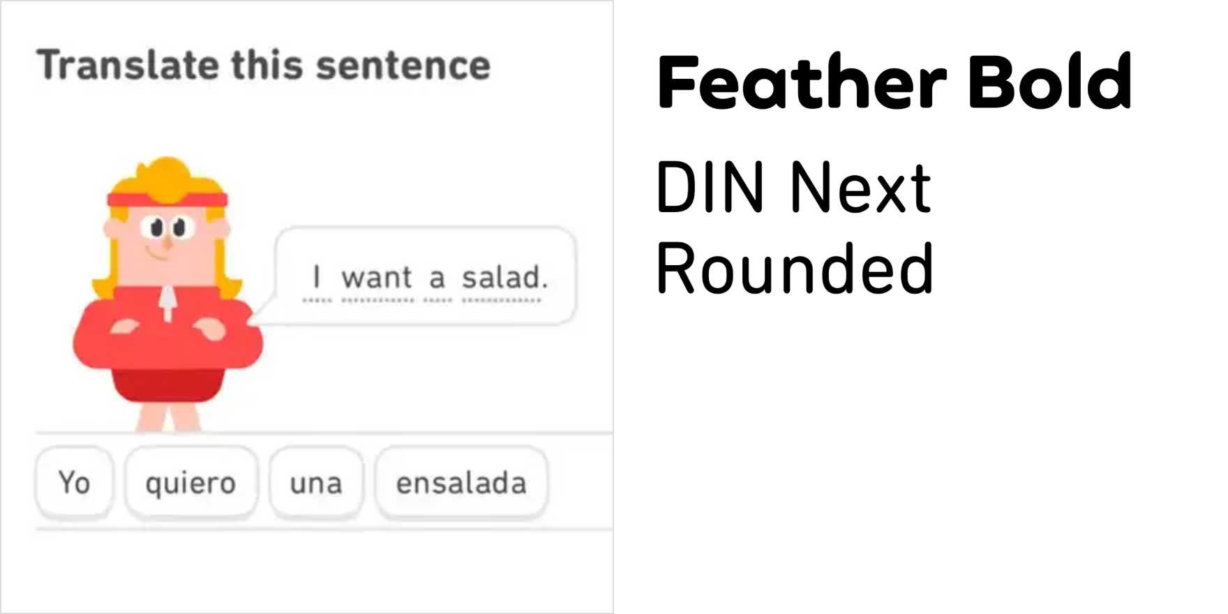 Duolingo app - Fonts In Use