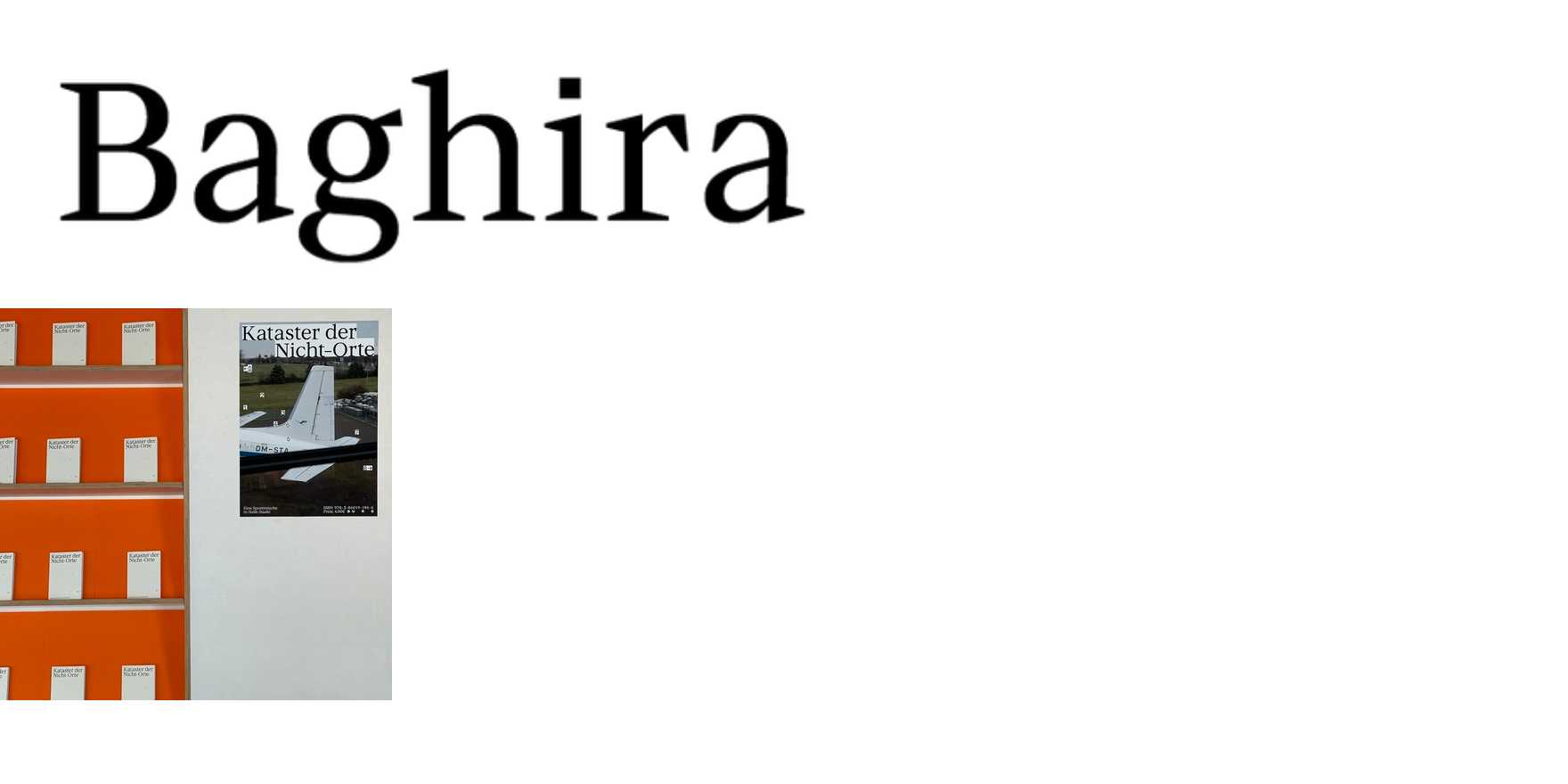 Baghira in use - Fonts In Use
