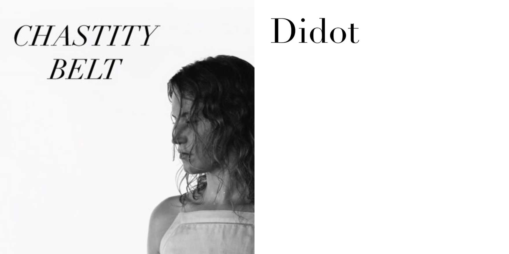 Chastity Belt - Fonts In Use