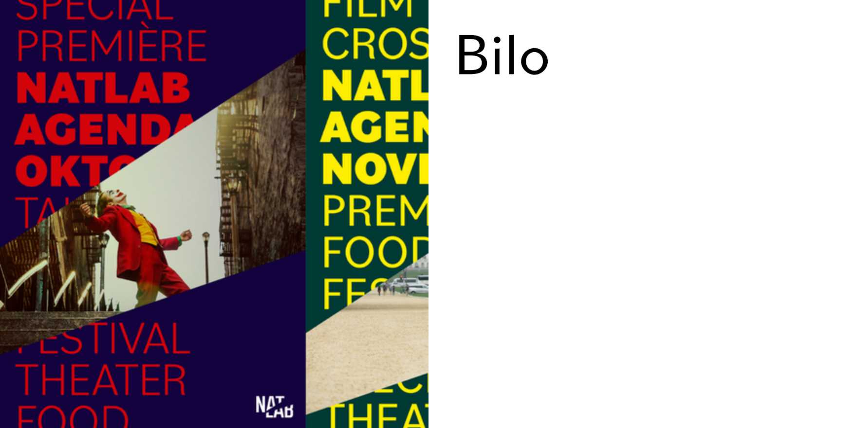 NatLab visual identity and website - Fonts In Use