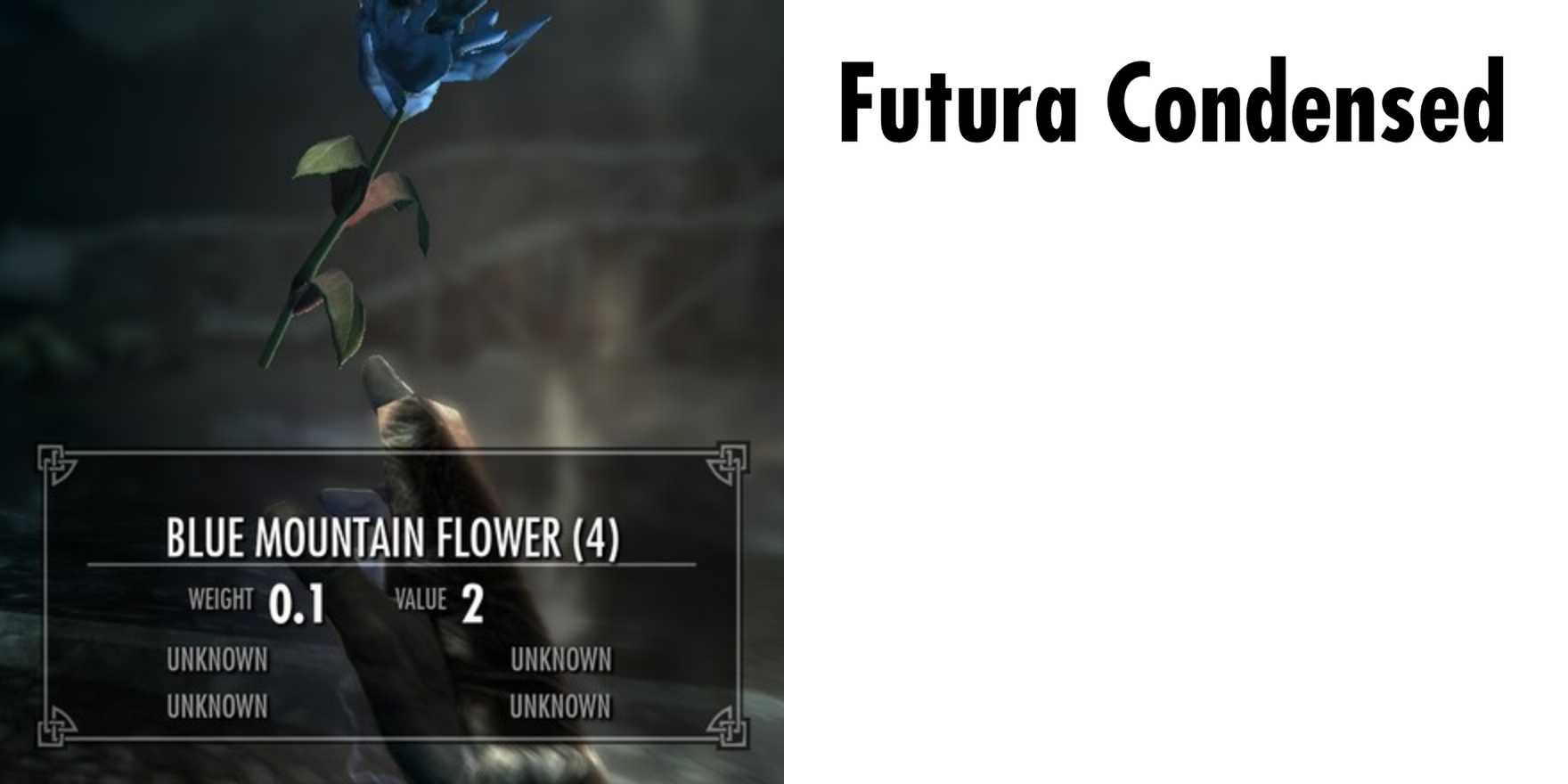 The Elder Scrolls V: Skyrim - Fonts In Use