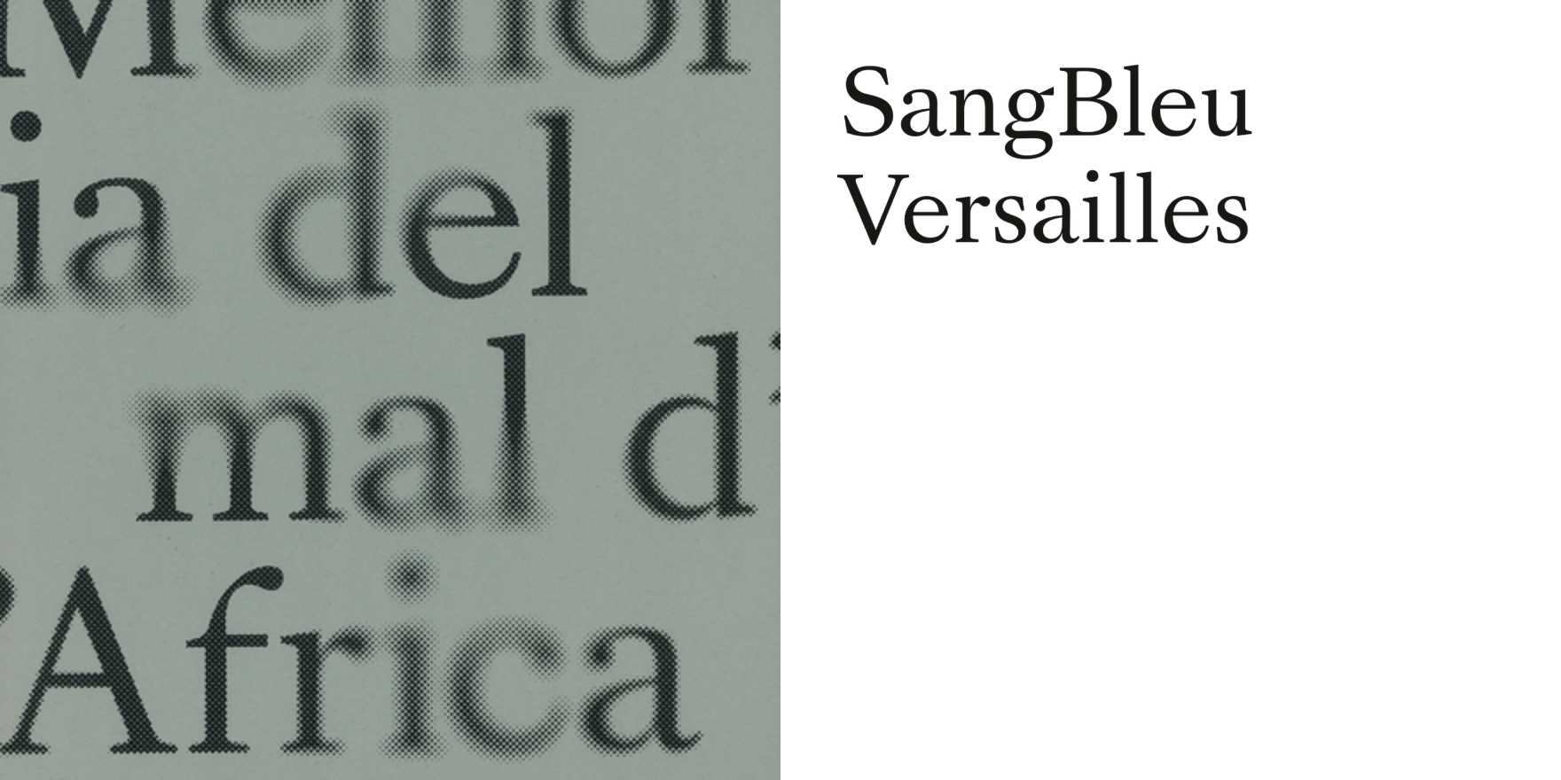 Memoria del Mal d’Africa - Fonts In Use