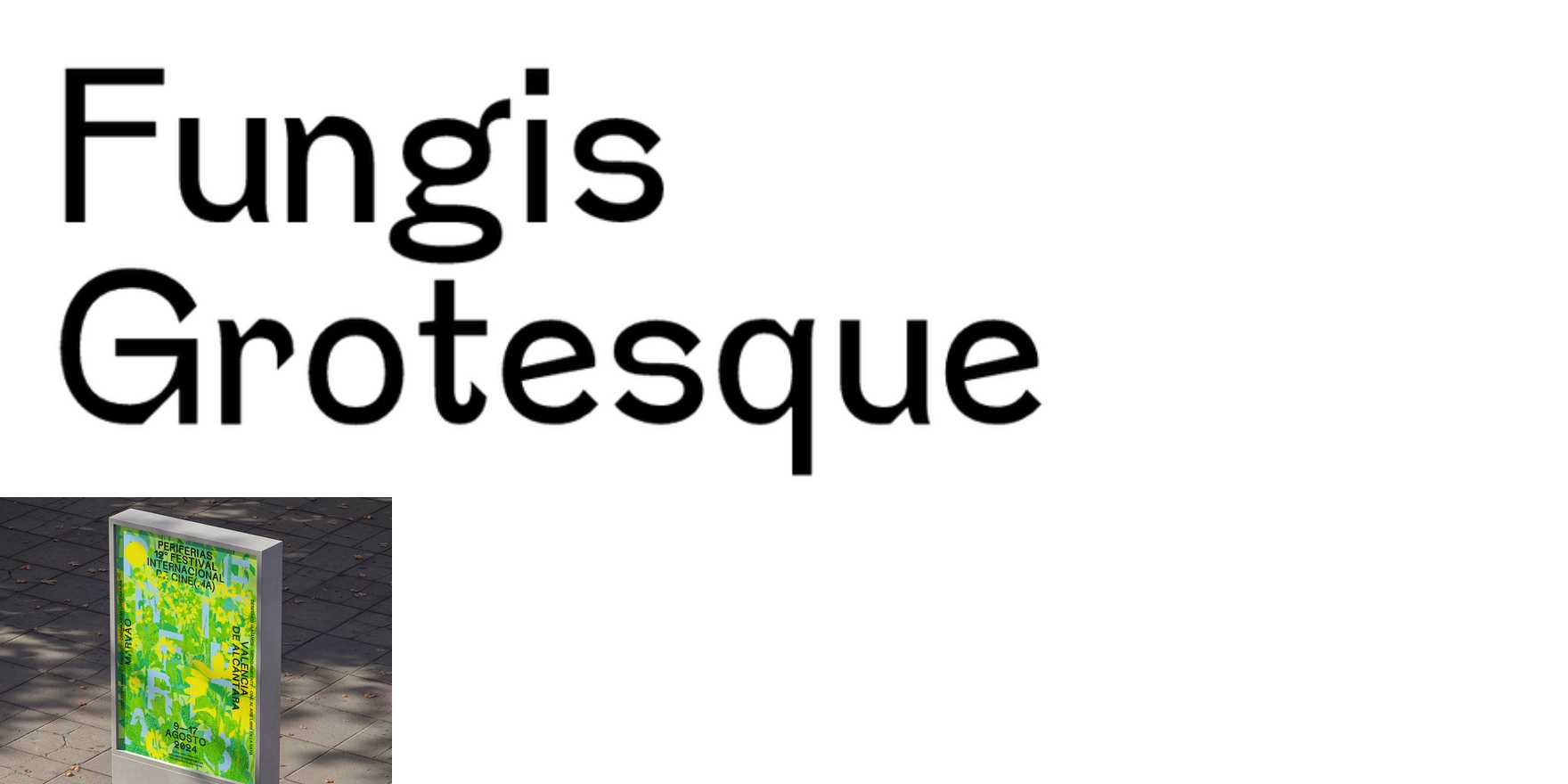 Fungis Grotesque in use - Fonts In Use