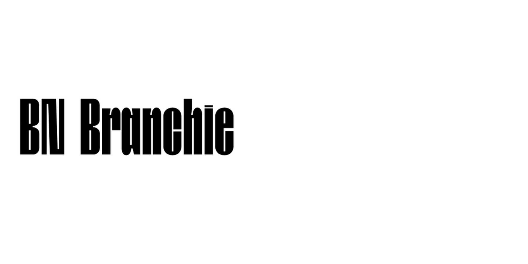BN Branchie in use - Fonts In Use