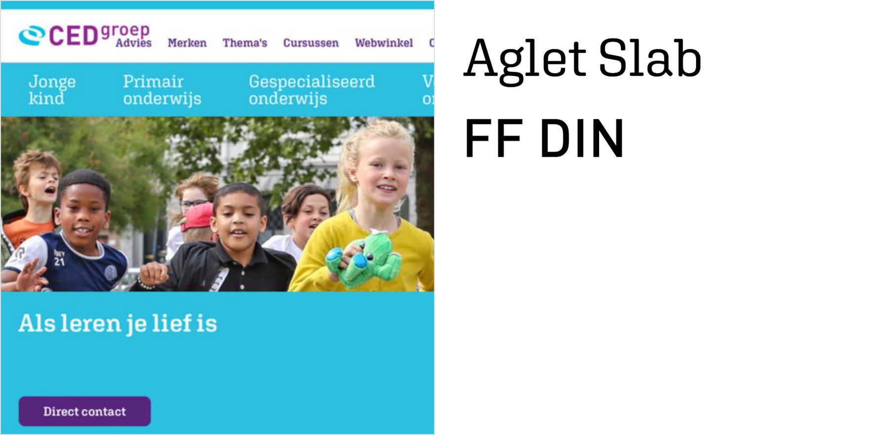 CED Groep website - Fonts In Use