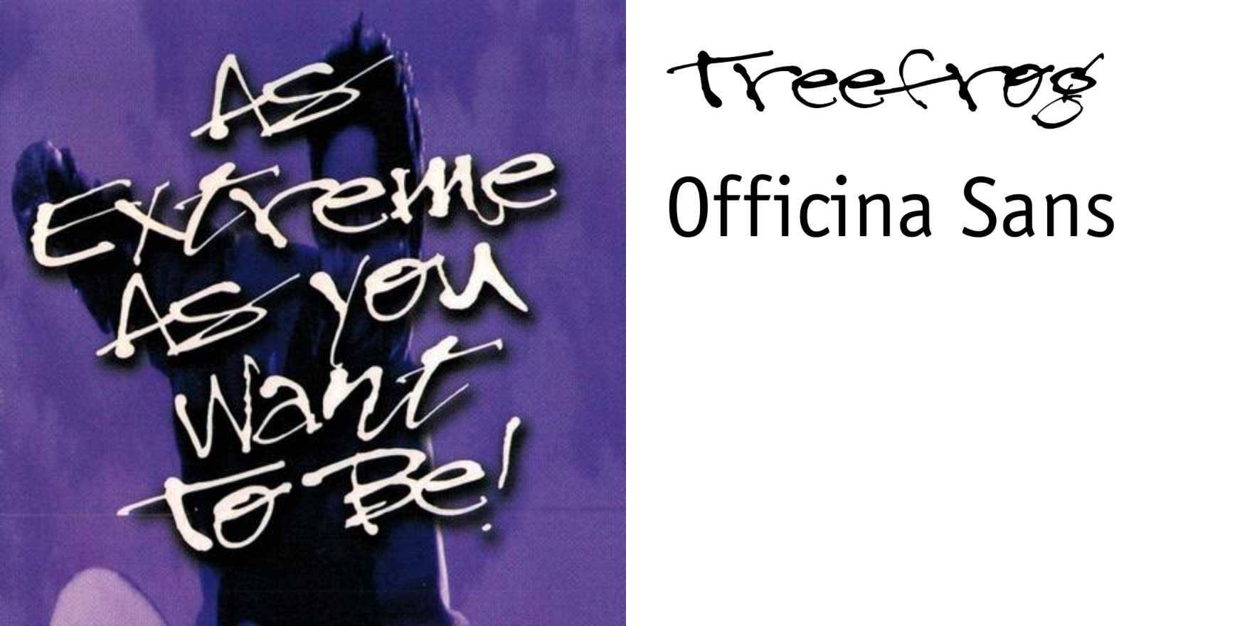 ExtremeZ workstation ad - Fonts In Use