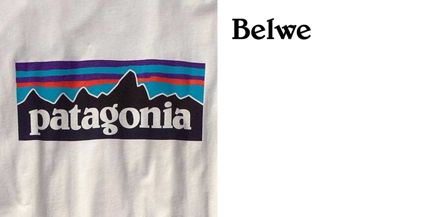 Patagonia logo - Fonts In Use