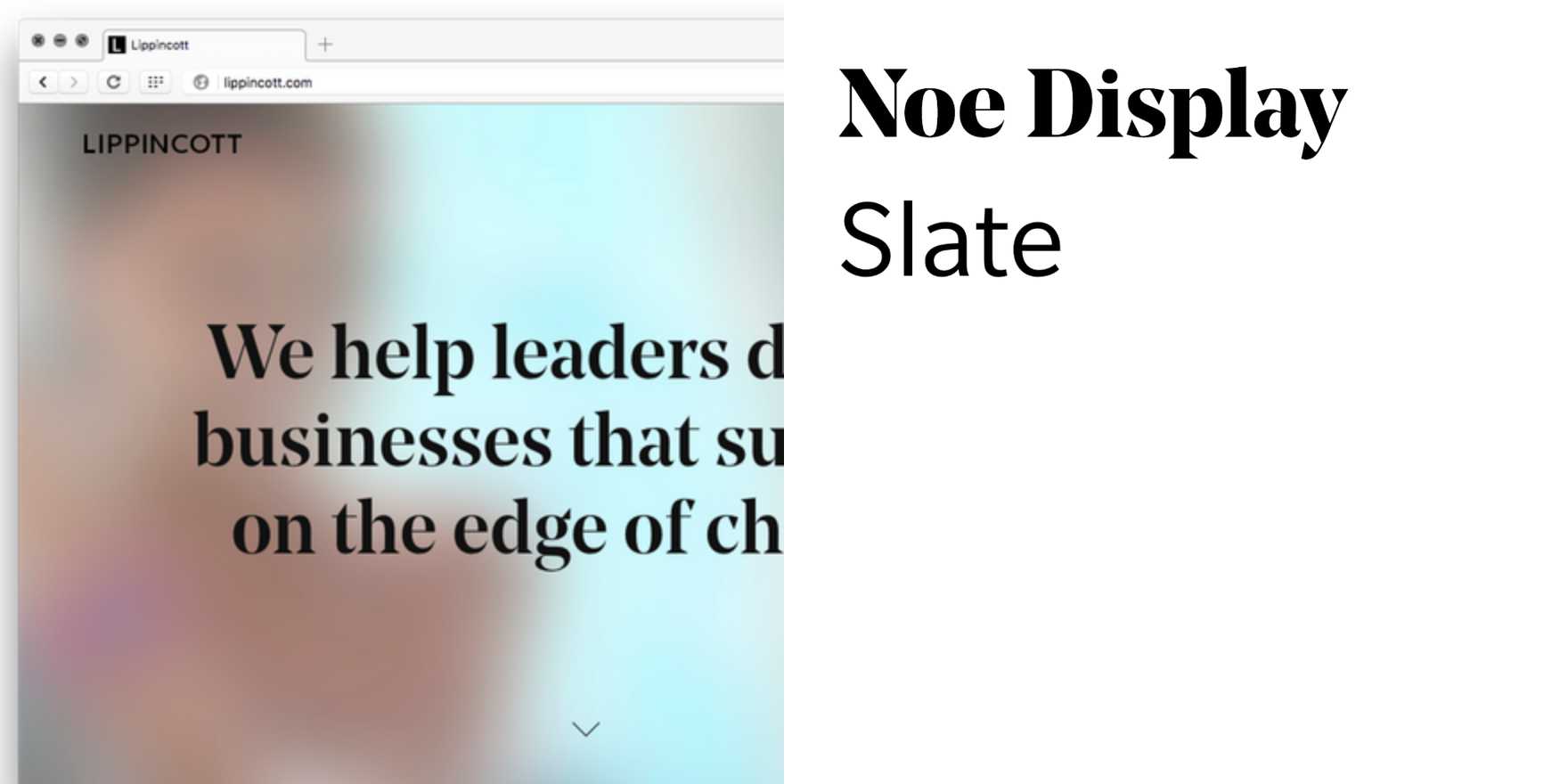 Lippincott website - Fonts In Use