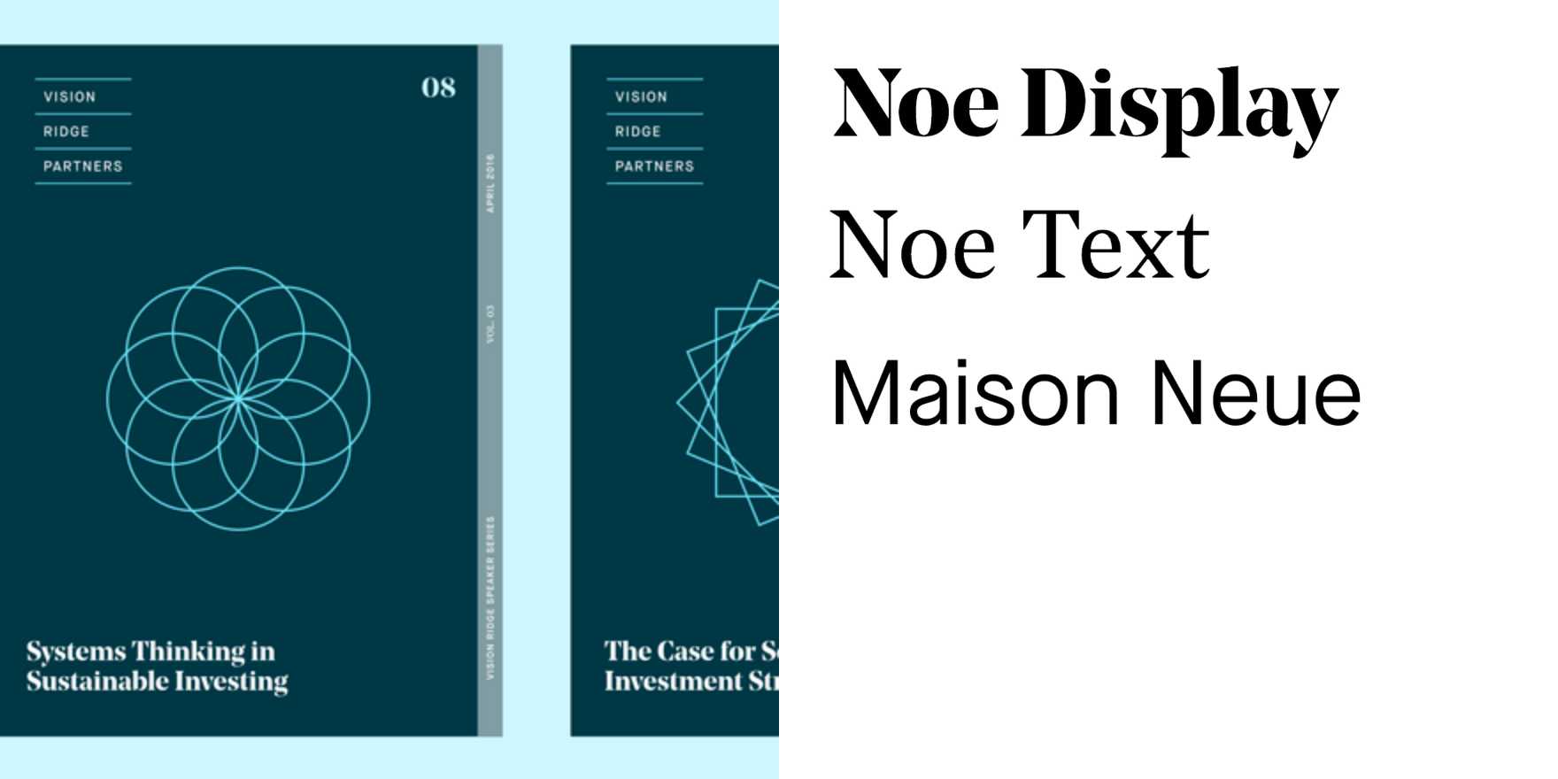 Vision Ridge Partners - Fonts In Use