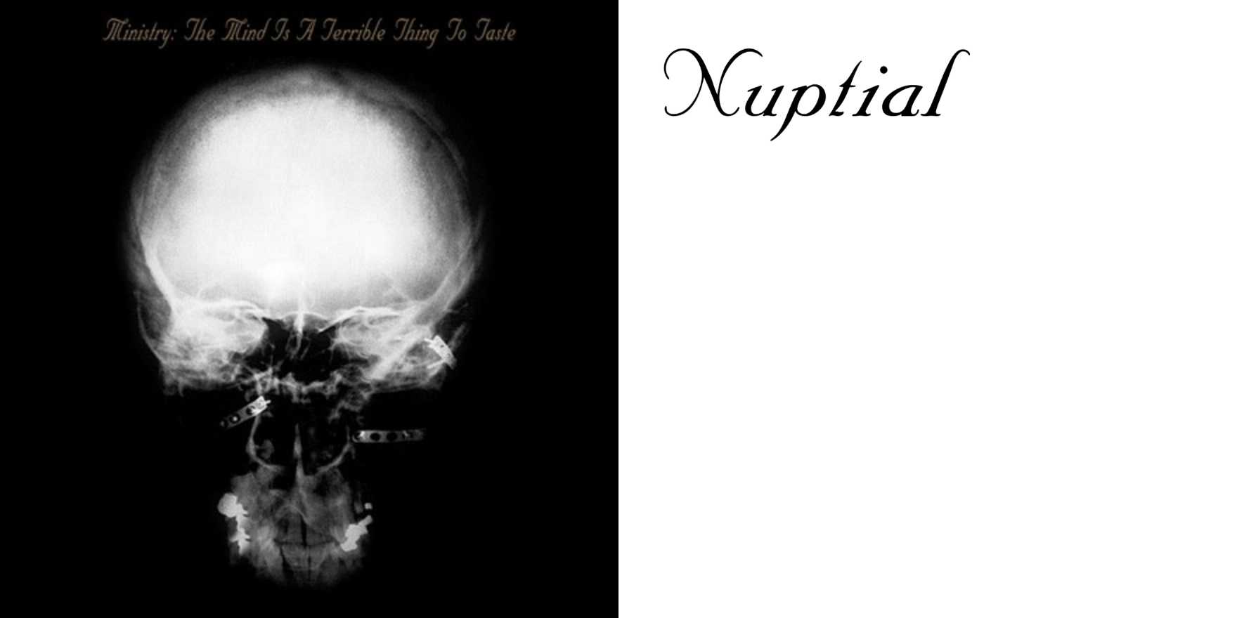 Ministry – The Mind Is a Terrible Thing to Taste album art - Fonts In Use