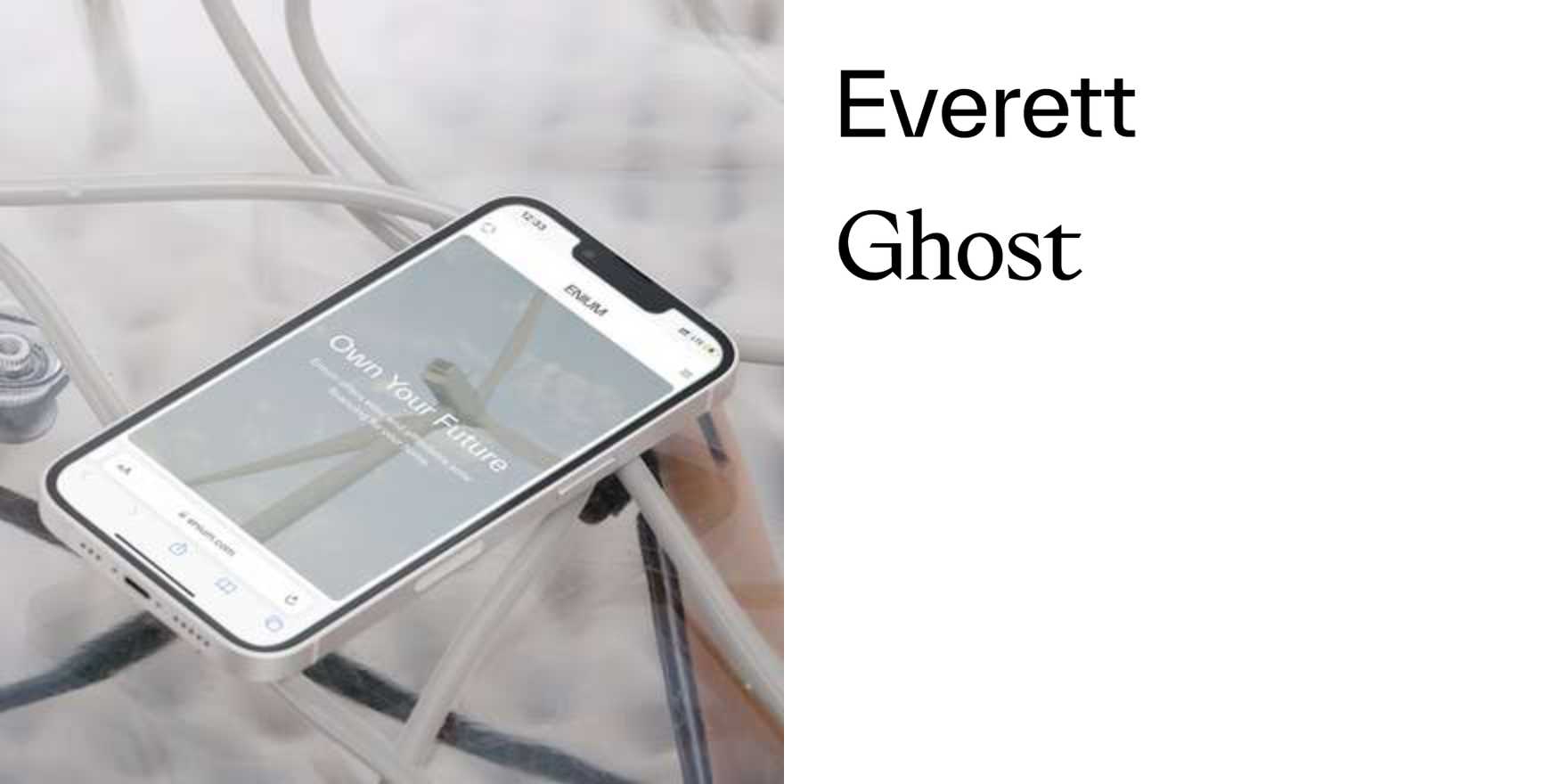 Enium - Fonts In Use