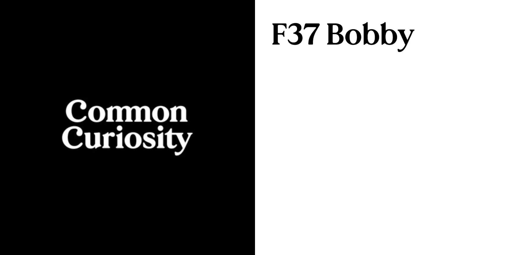 Common Curiosity studio identity - Fonts In Use