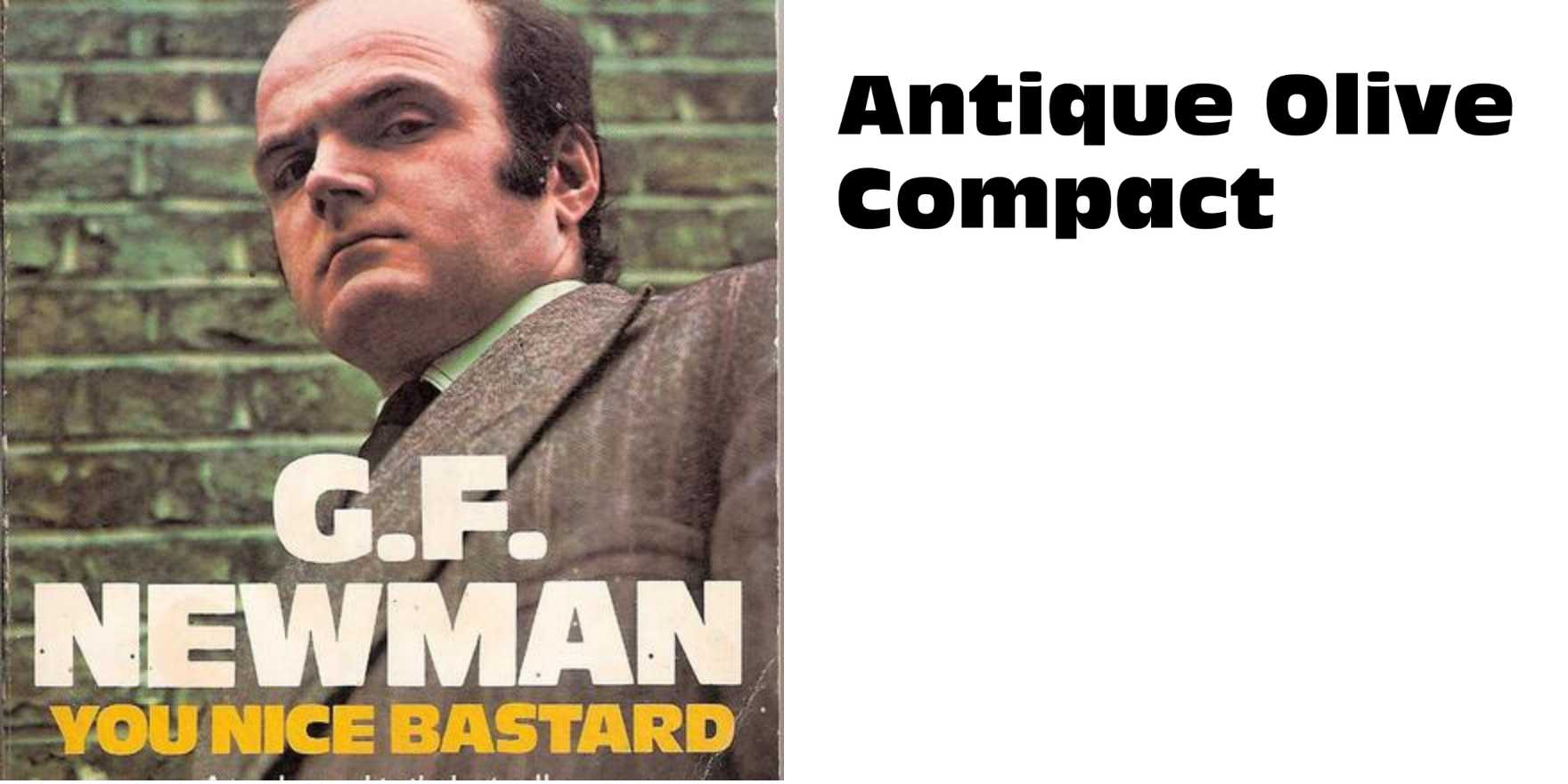 You Nice Bastard by G.F. Newman - Fonts In Use