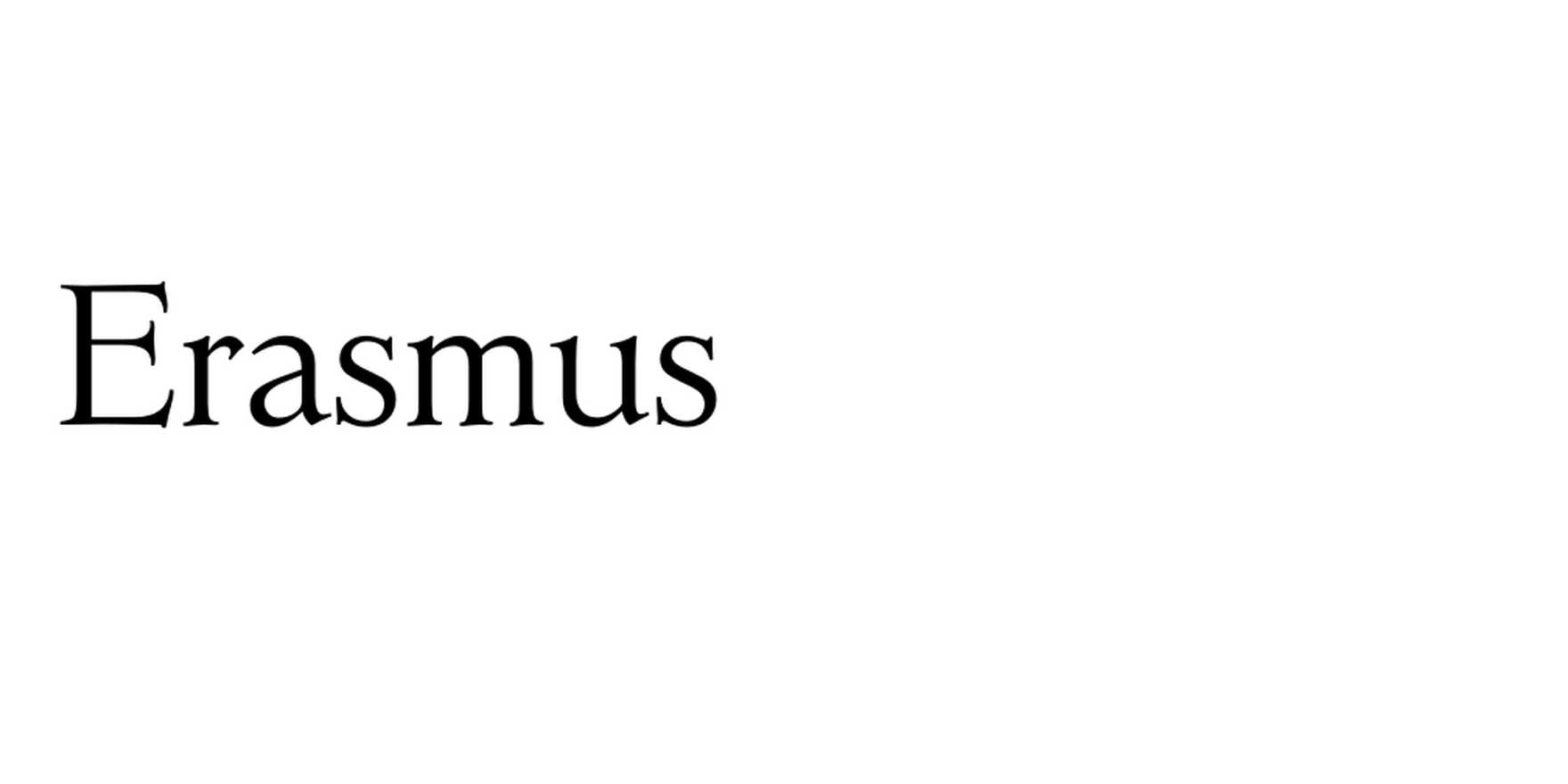 erasmus logo white