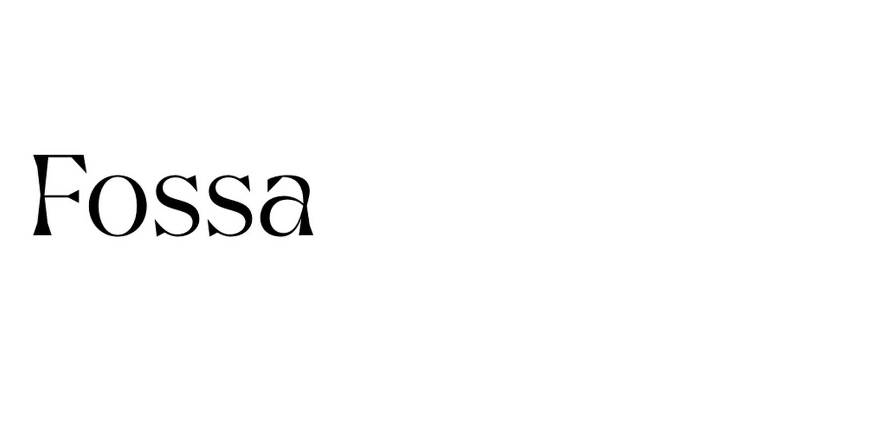Fossa in use - Fonts In Use