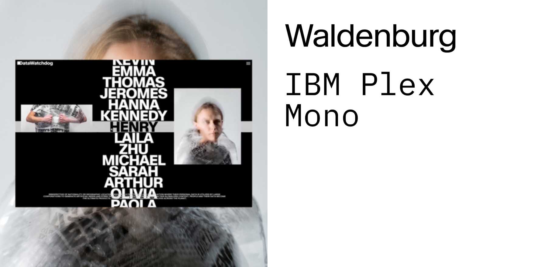 DataWatchdog website - Fonts In Use