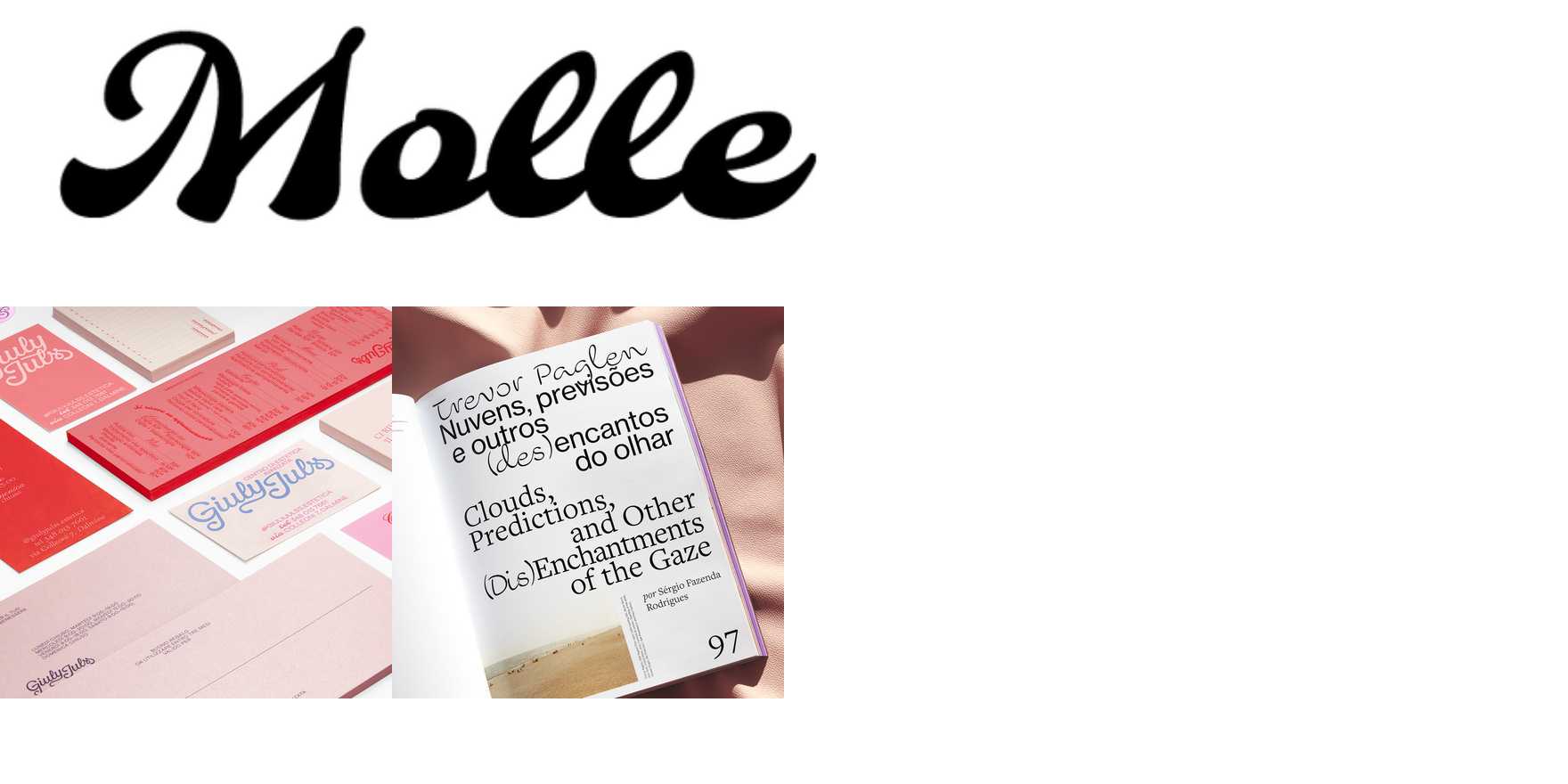 Molle in use - Fonts In Use