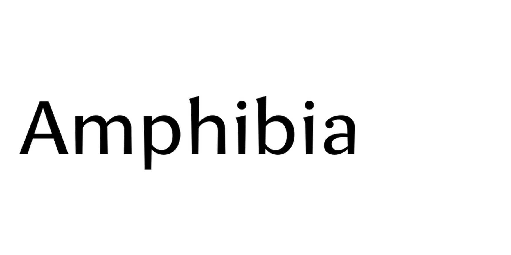 Amphibia in use - Fonts In Use