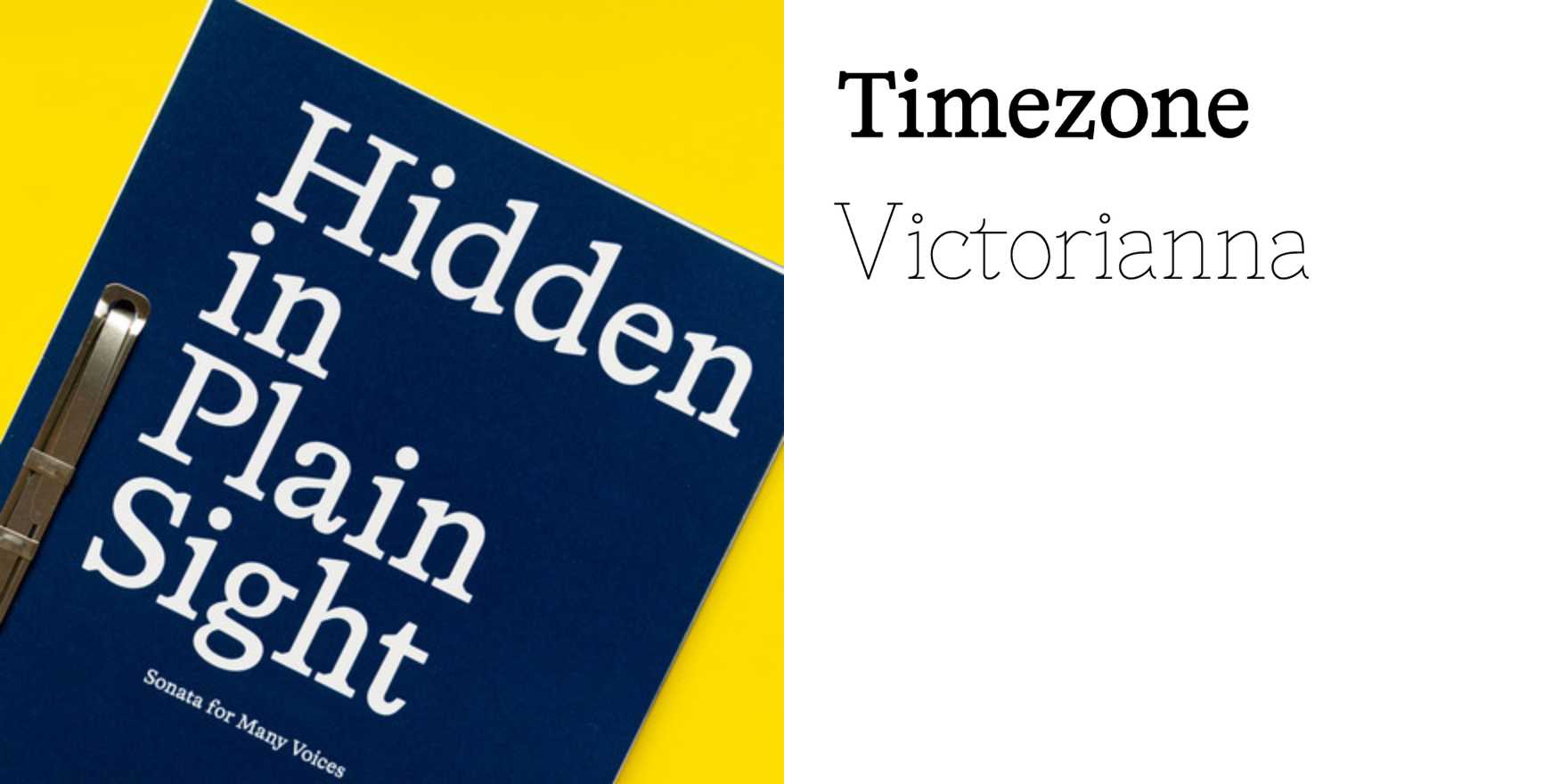 Hidden in Plain Sight by Elisa Lemma - Fonts In Use