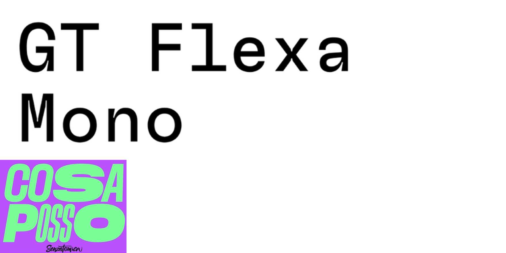 GT Flexa Mono in use - Fonts In Use