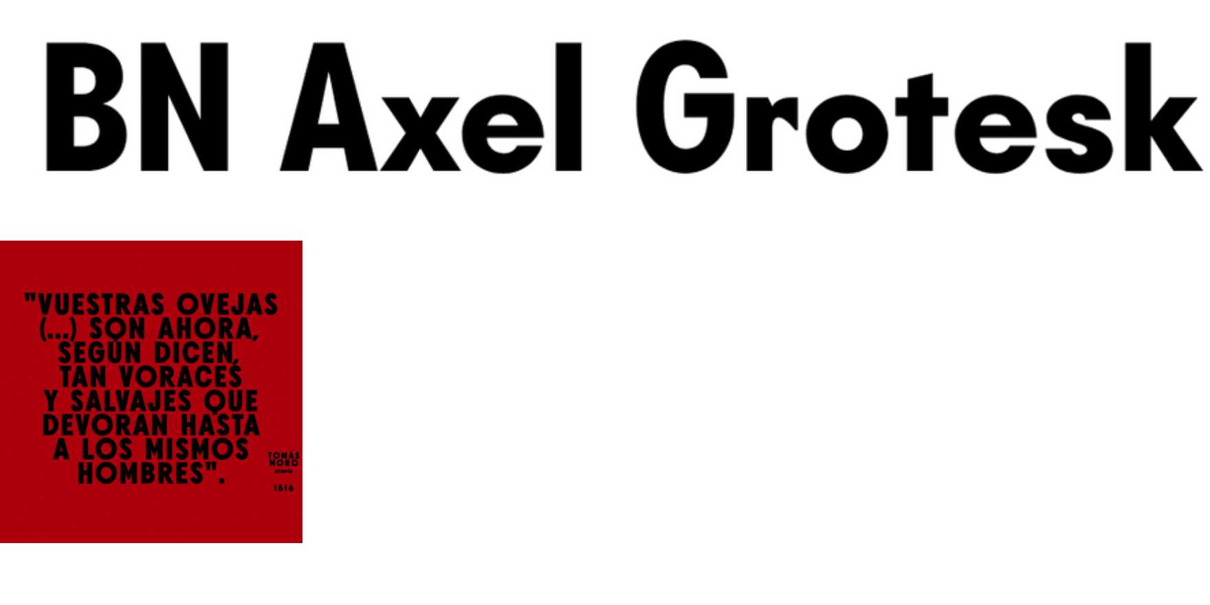 BN Axel Grotesk in use - Fonts In Use
