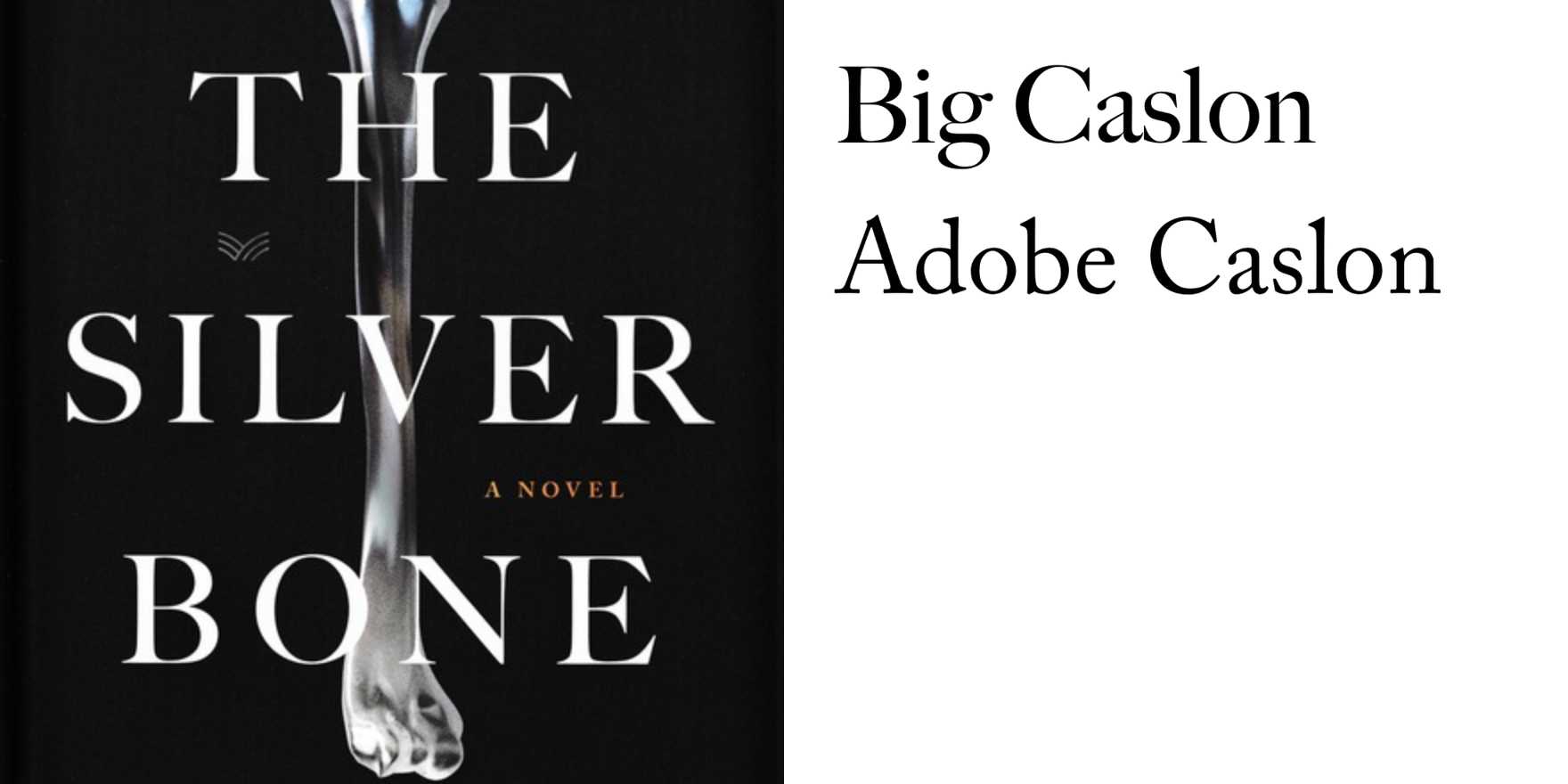 The Silver Bone by Andrey Kurkov - Fonts In Use