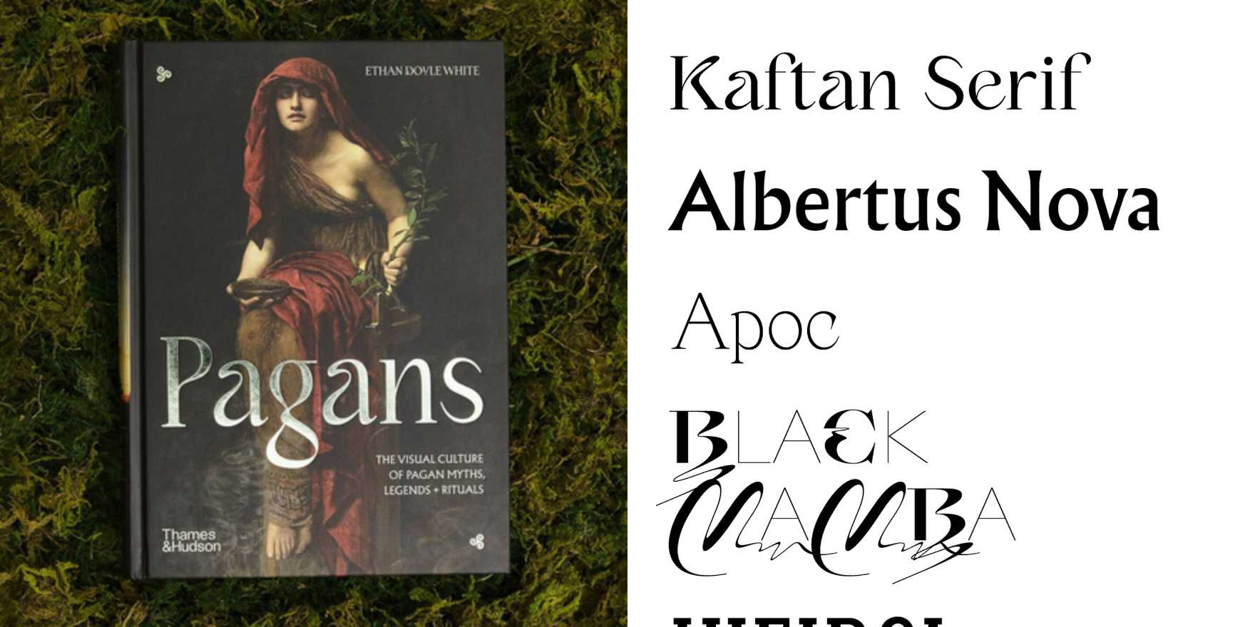 Pagans: The Visual Culture of Pagan Myths, Legends and Rituals by Ethan ...