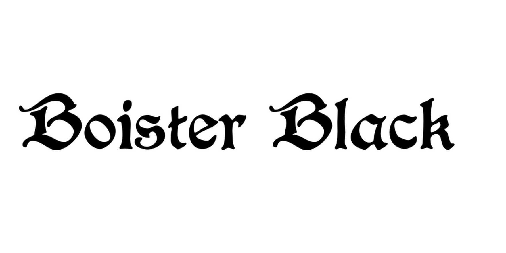 Boister Black in use - Fonts In Use