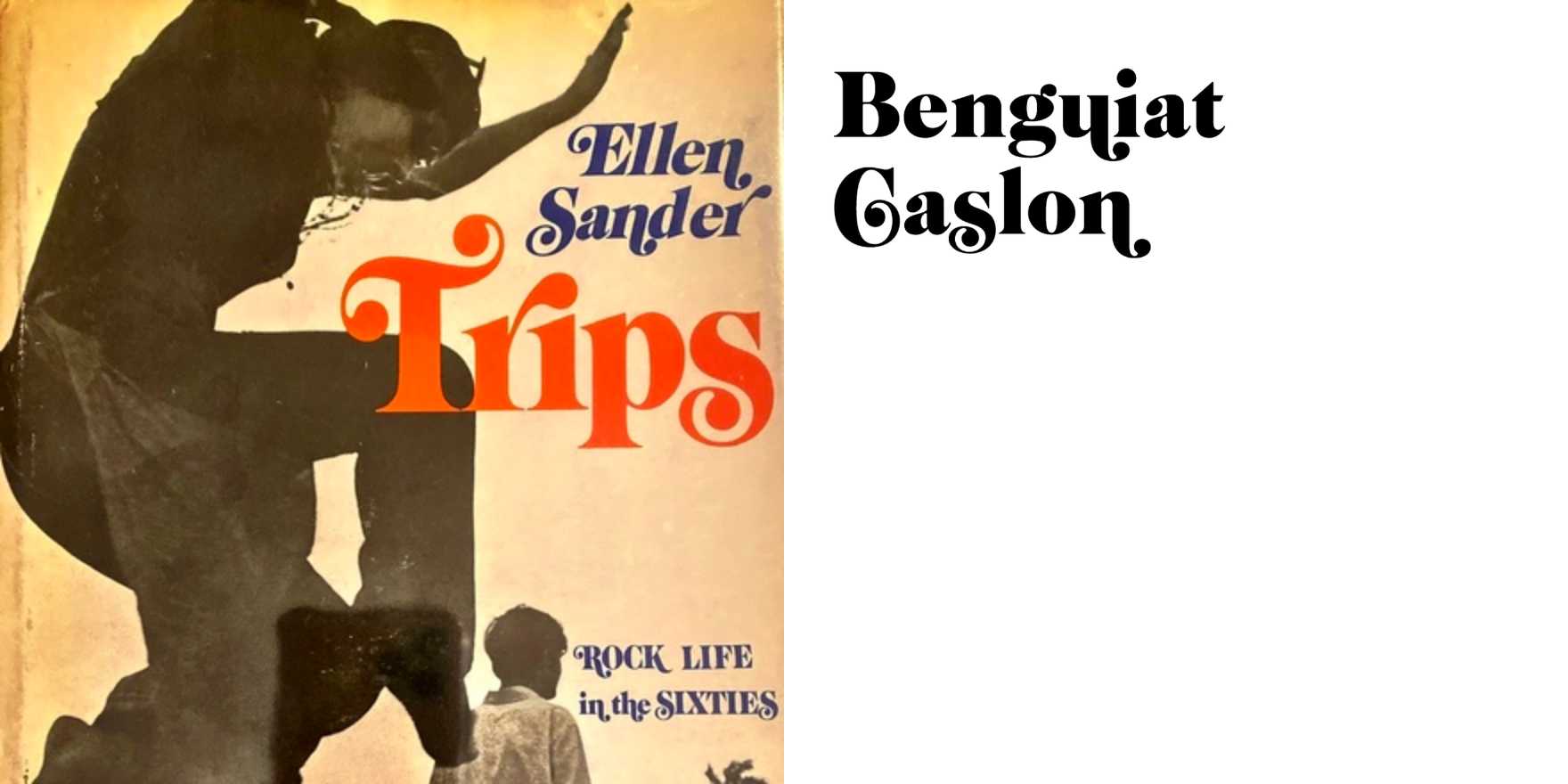 Trips by Ellen Sander (Scribner’s, 1973) front jacket - Fonts In Use