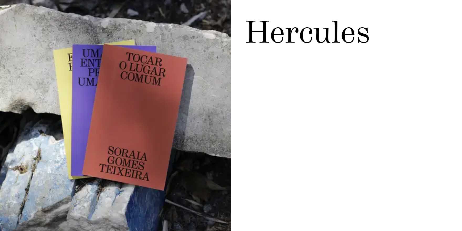 Vai Vem Editora - Fonts In Use