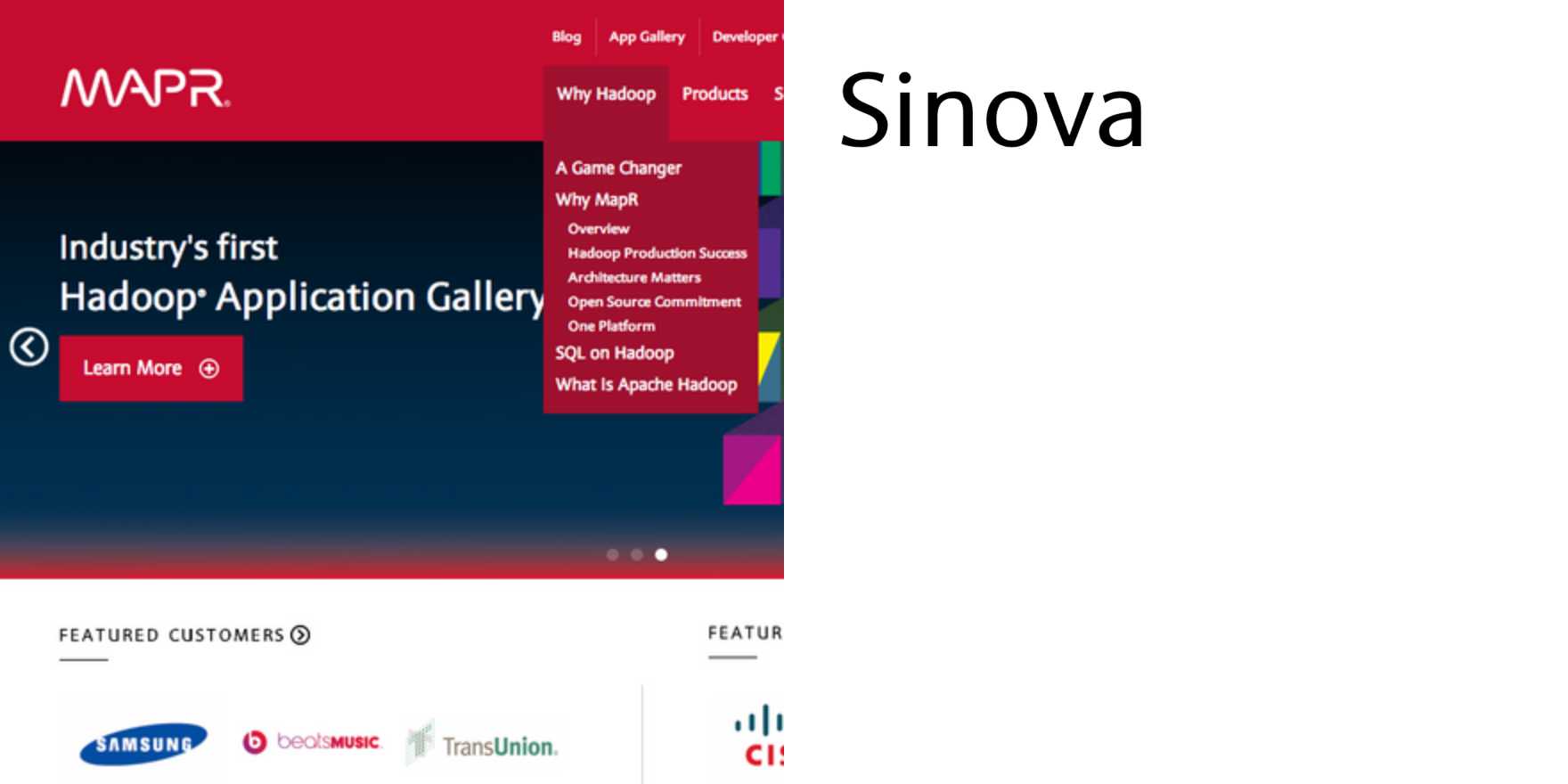 MapR Technologies - Fonts In Use