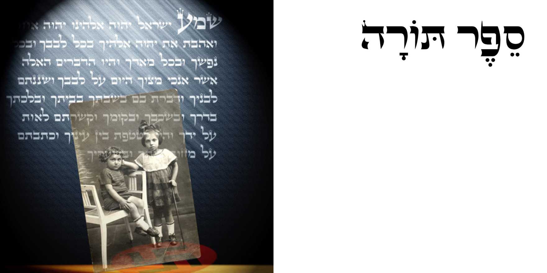 Holocaust Portfolio by Martin Mendelsberg - Fonts In Use