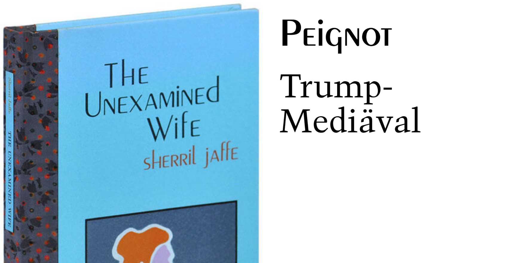 The Unexamined Wife by Sherril Jaffe - Fonts In Use