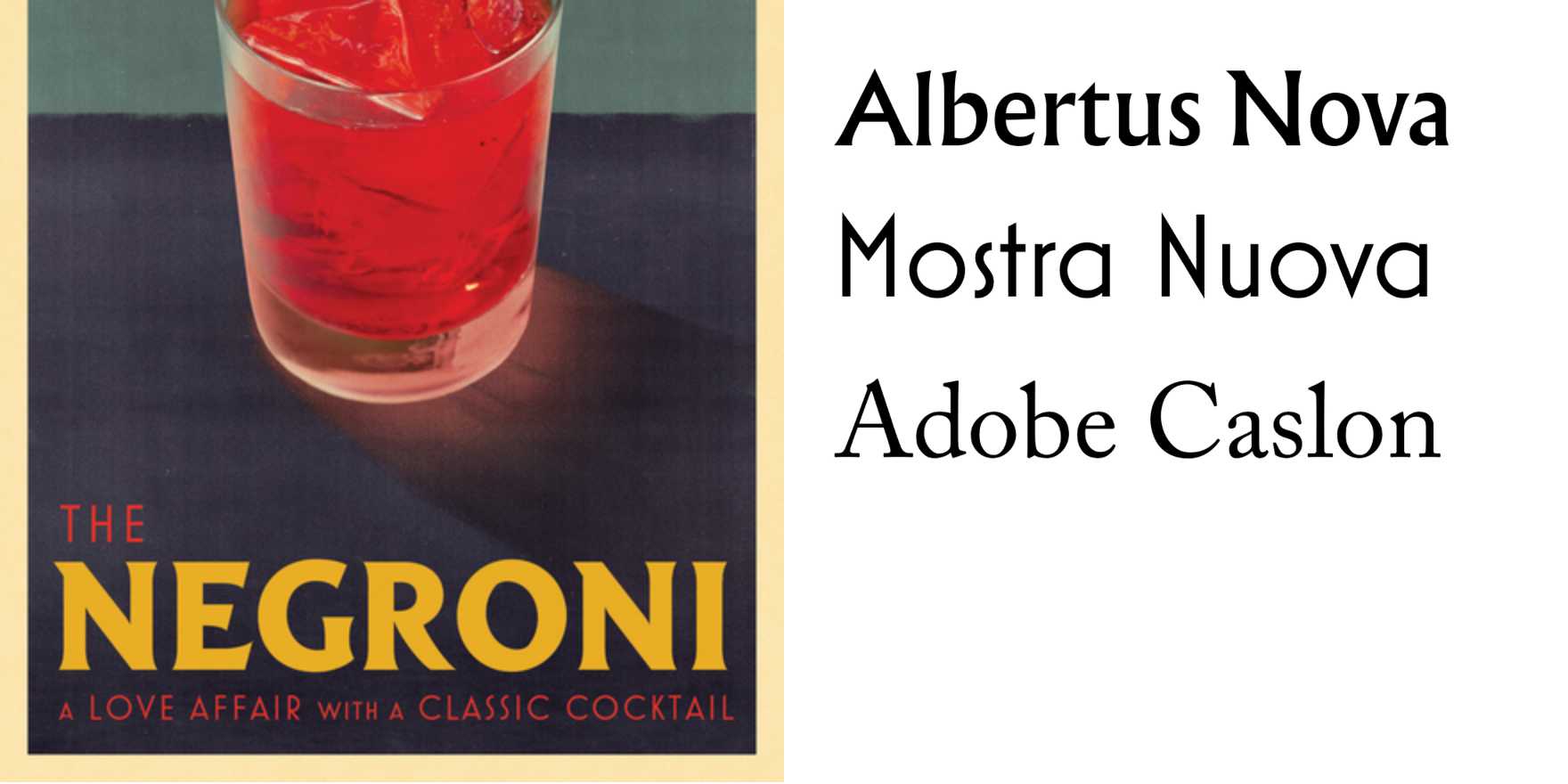 The Negroni by Matt Hranek (Workman) - Fonts In Use