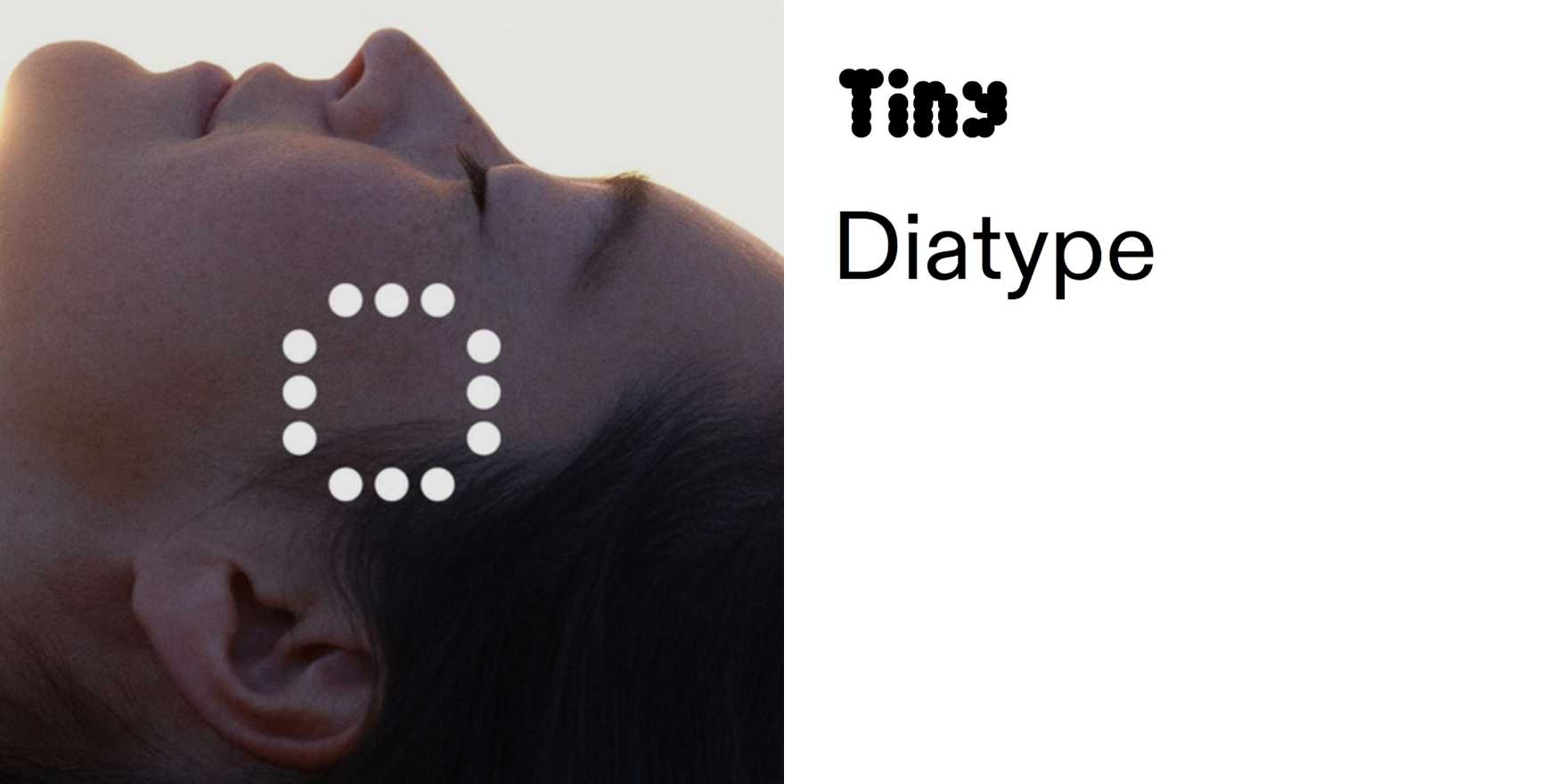 OEM website - Fonts In Use