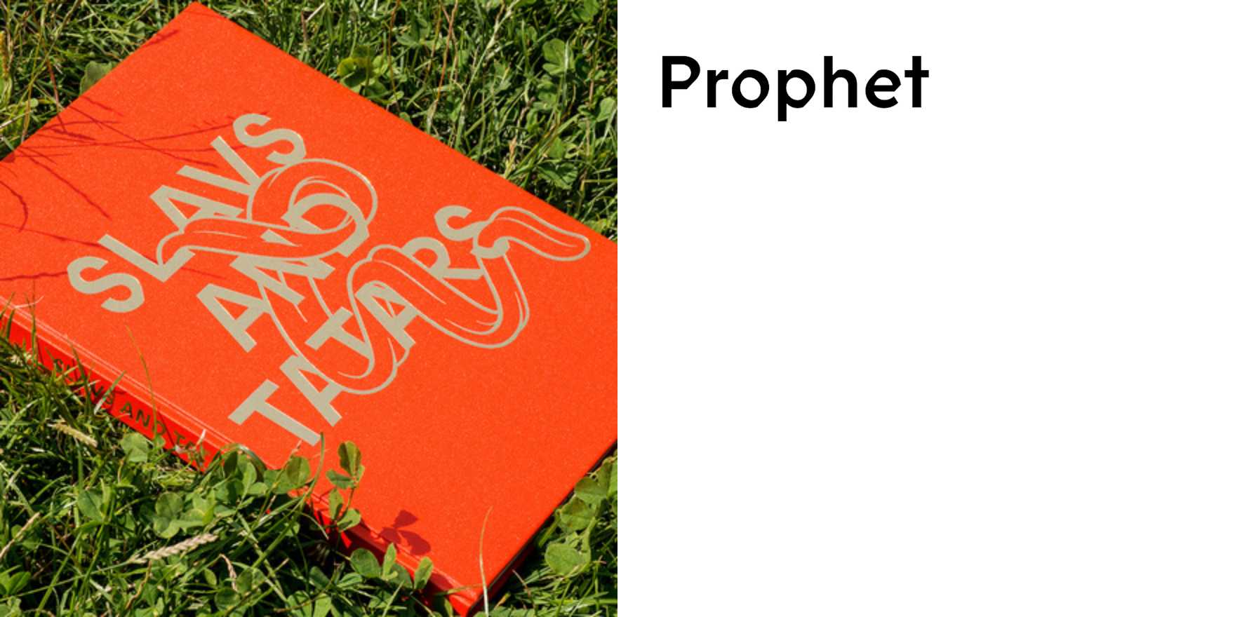 Slavs and Tatars: Mouth to Mouth - Fonts In Use