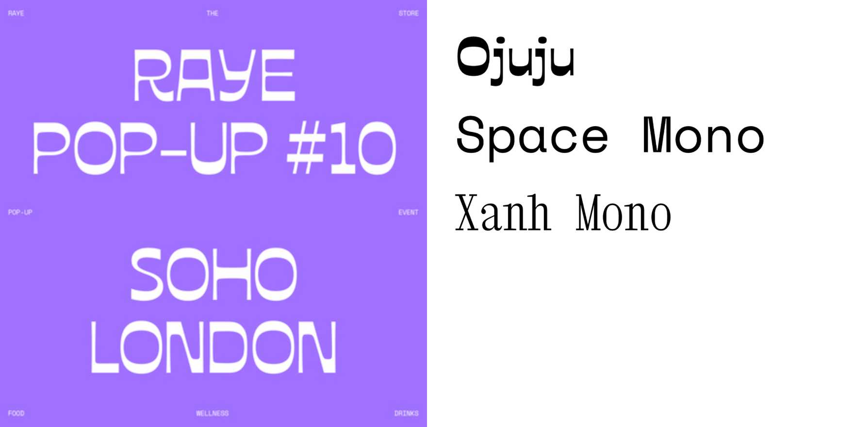 raye the store 10 - Fonts In Use