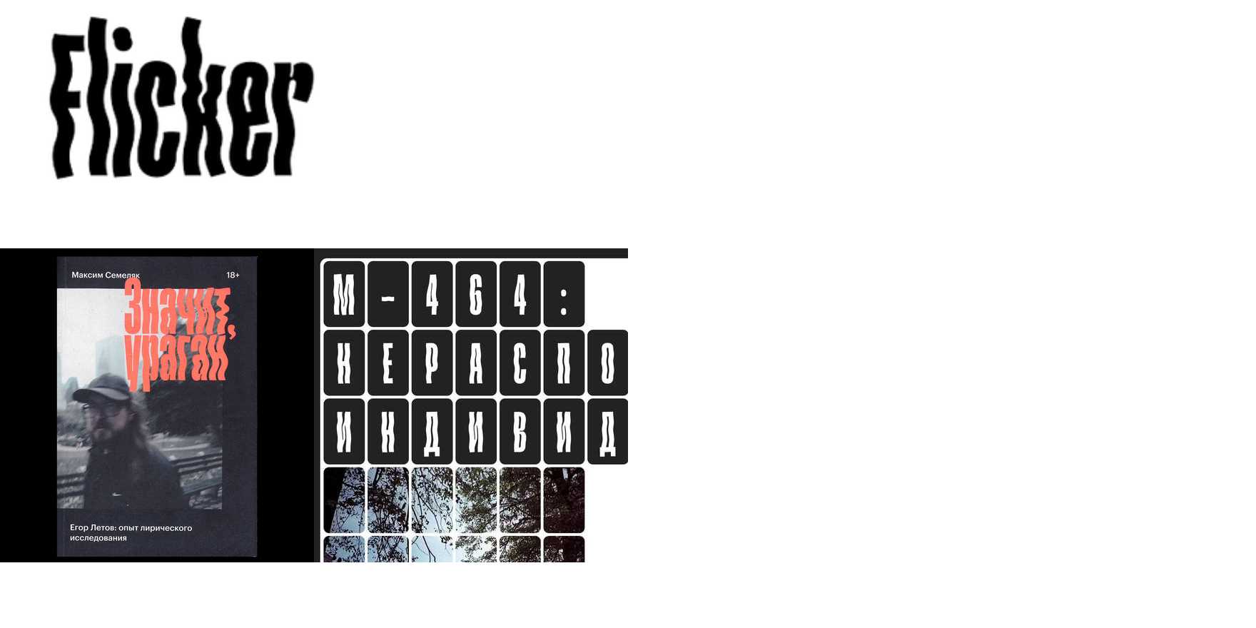 Flicker (Daria Karpenko) in use - Fonts In Use