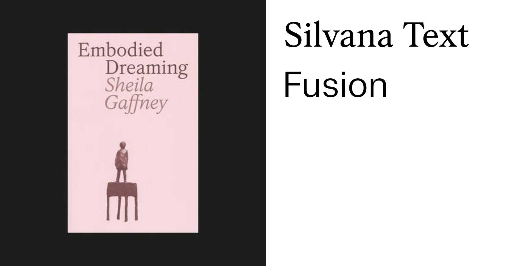 Sheila Gaffney – Embodied Dreaming exhibition catalog - Fonts In Use