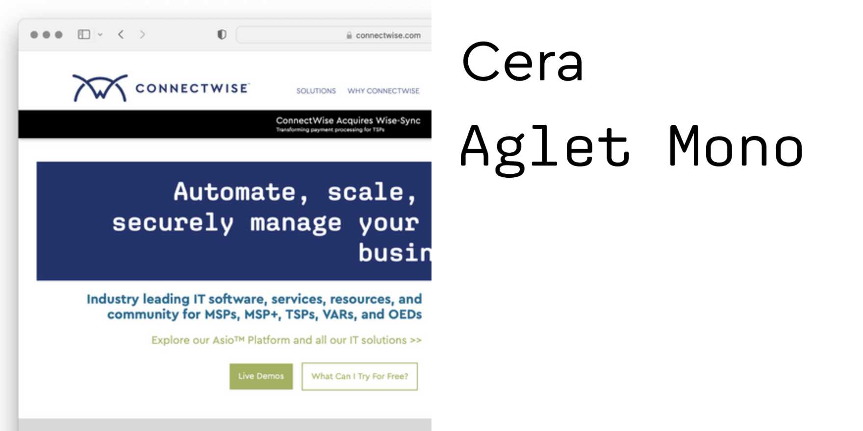 ConnectWise - Fonts In Use
