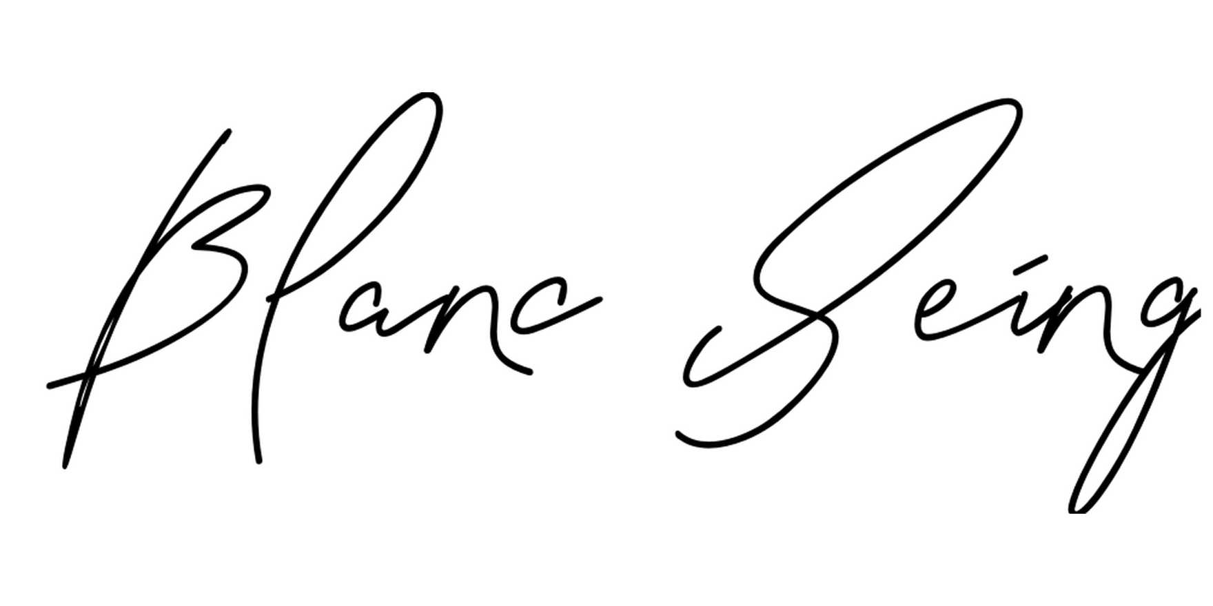 Blanc Seing in use - Fonts In Use