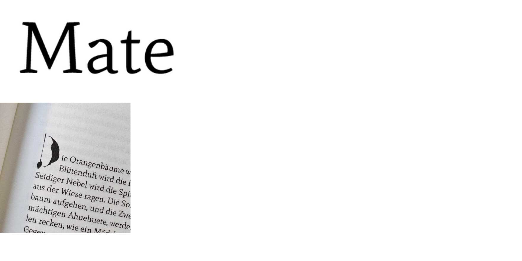 Mate in use - Fonts In Use