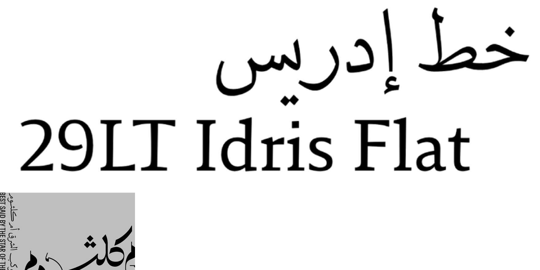 29LT Idris Flat in use - Fonts In Use