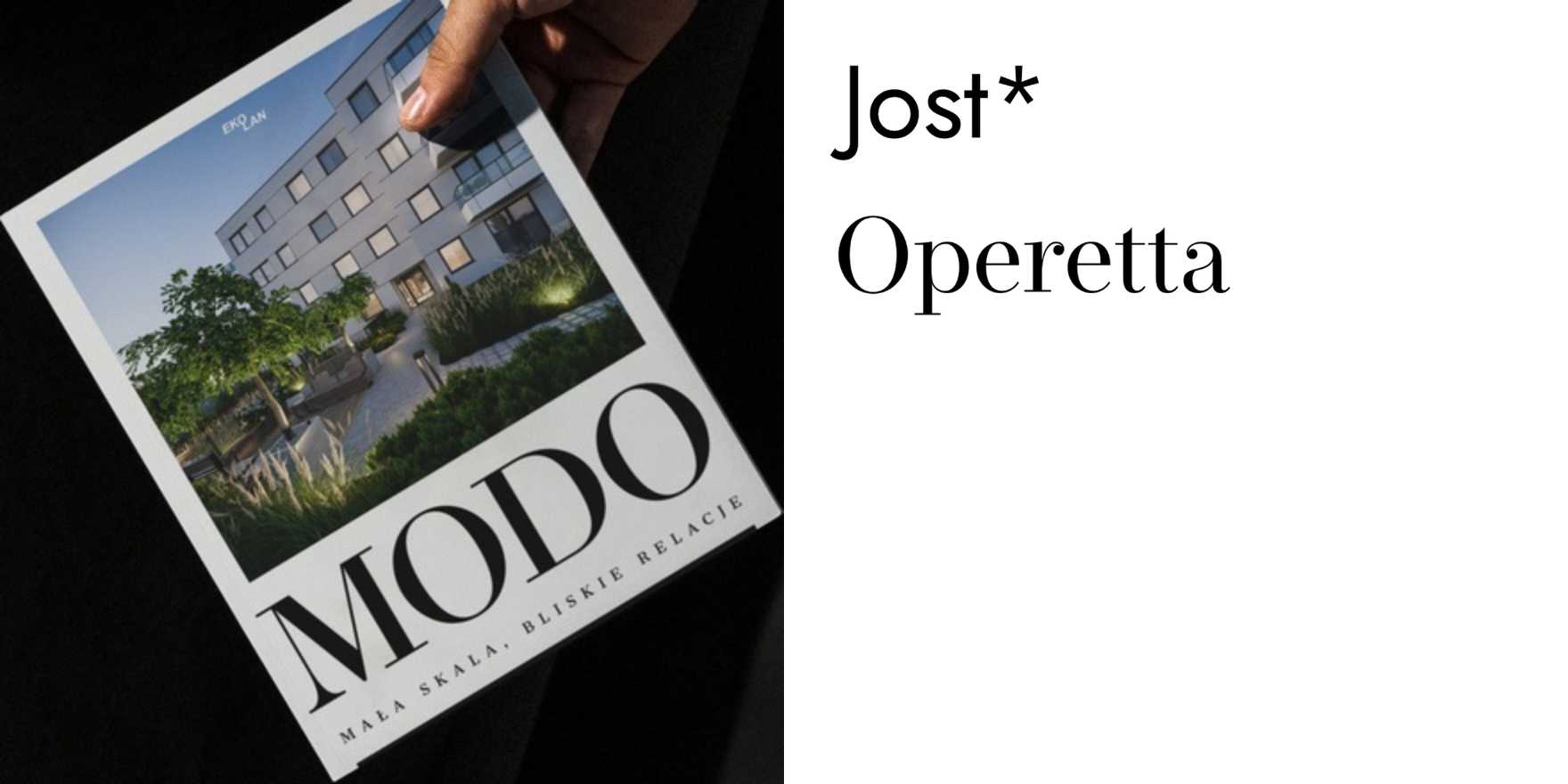 MODO visual identity - Fonts In Use