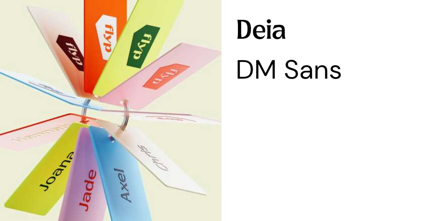 Flyp rebranding - Fonts In Use