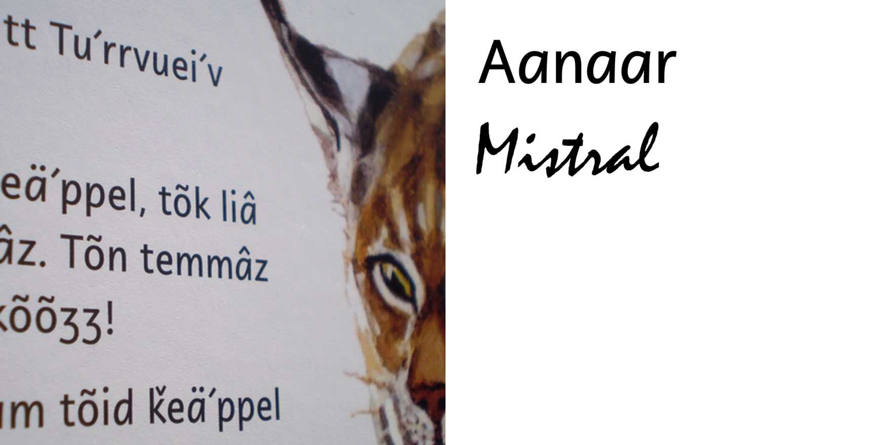 Sámi kids’ books - Fonts In Use